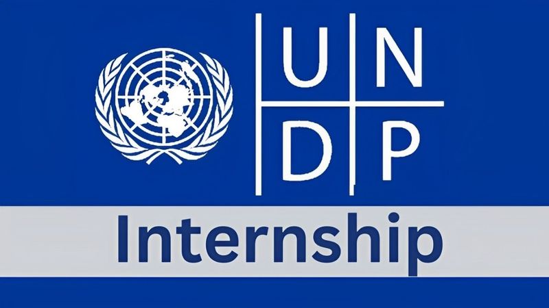 UNDP recruitment ( June 2024) - Jobs Daily